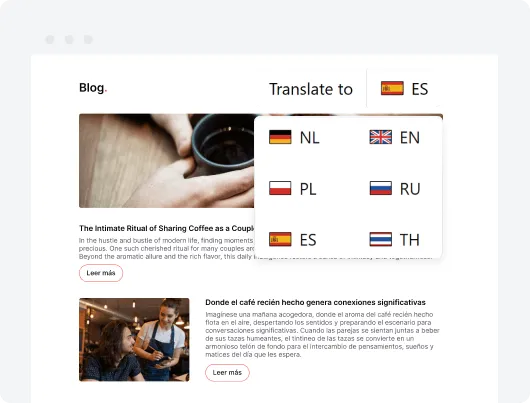 Website Translator Widget